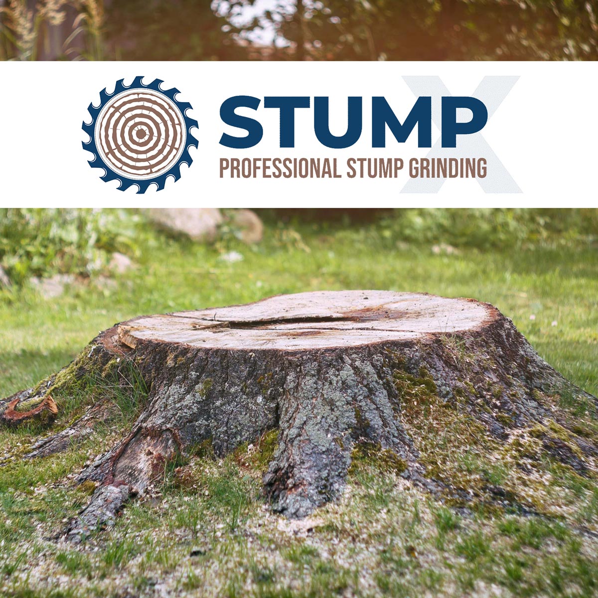 Stump Grinding Services - StumpX